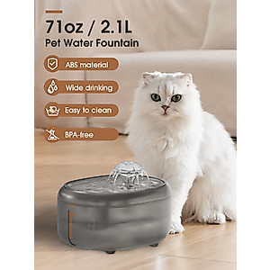 WOPET Cat Water Fountain, 2.1L Cat Water Dispenser with BPA-Free, Translucent Water Tank, Ultra Quiet Water Fountain for Cats Inside, Pet Water Fountain for Cats, Small Dogs