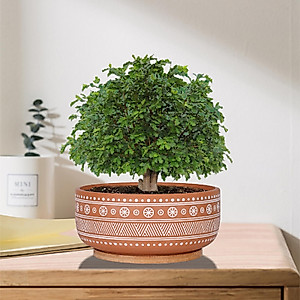 Thirtypot 8 Inch Terracotta Succulent Planter Pot with Drainage Hole and Bamboo Tray, Round Shallow Bonsai Pot for Indoor Plants