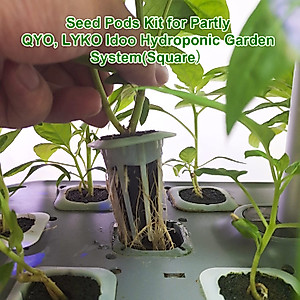 Haovegfloer 30 PCS Grow Sponges, Seed Starter Pods Replacement Root Growth Sponges, Seed Pods Kit for Partly QYO, LYKO, Idoo Hydroponic Garden System(Square