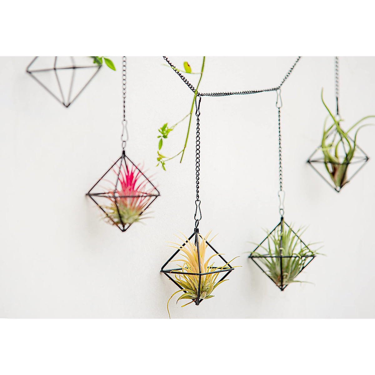 libproqia Small Air Plants Holders Black Hanging Airplants Hangers Iron Wire Airferns Display Frame Geometric Tillandsia Air Planter with Chains for Wall Mounted Himmeli Decor 6pcs(No Plants)