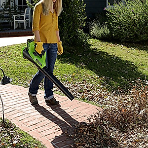 Greenworks 40V (115 MPH / 430 CFM) Brushless Cordless Axial Leaf Blower, 2.0Ah Battery and Charger Included & Greenworks 40V 2.0Ah Lithium-Ion Battery (Genuine Greenworks Battery)