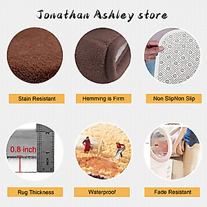 Animal Tiger Print Area Rugs for entryway Rugs 1'x1.7'/12"x20"/30x50cm, for Living Room, Anti-Skid Extra Comfy Fluffy Floor Carpet for Indoor Home Decorative