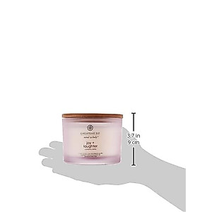 Chesapeake Bay Candle Scented Candle, Joy + Laughter (Cranberry Dahlia), Coffee Table, Orange,Pink,Red