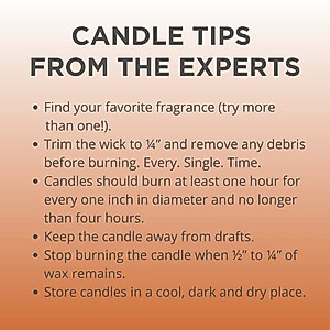 Stillwater Bath and Body™ French Vanilla Scented Candle for Home | Non Toxic Long Lasting Soy Candles | Delicious Scent | One Pint Mason Jar | Hand Made in The USA