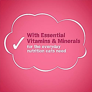 Purina Friskies Dry Cat Food, Gravy Swirlers - 16 lb. Bag