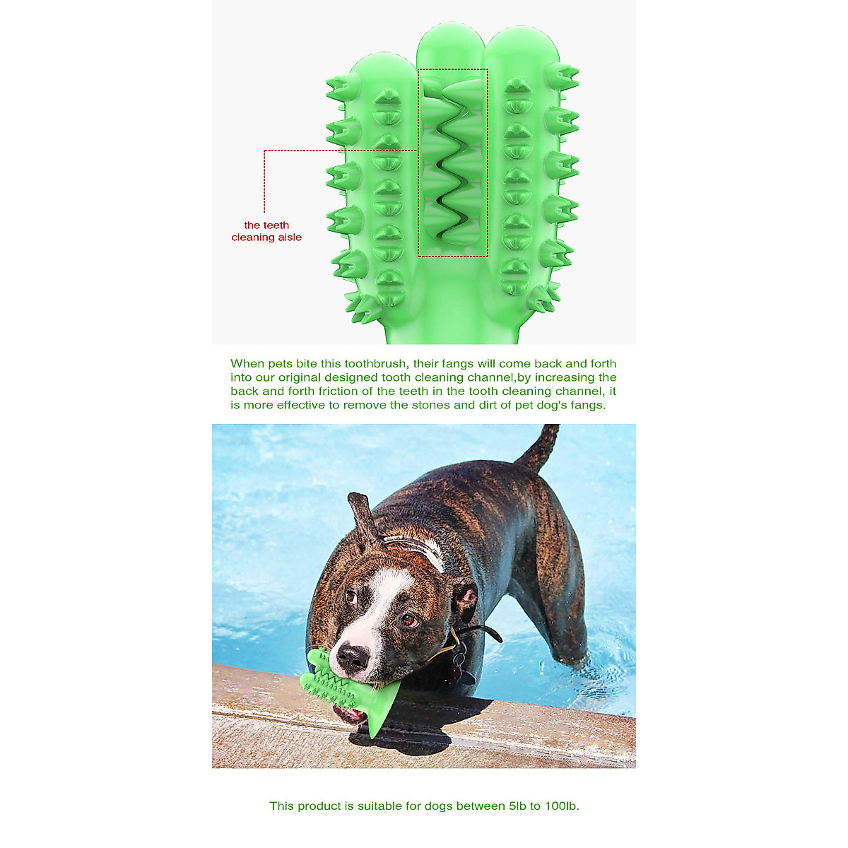 ASWER Dog Teeth Cleaning Toothbrush Durable Puppy Suction Cup Teething Chew Toy Tough Pet Dental Oral Care Brushing Sticks Safe Dogs Chewing Toys for Aggressive Chewers Small Medium Breed
