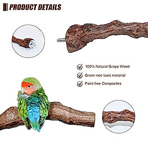 2 Packs Parrot Perch Stand,Natural Grapevine Wood Perch Parrots Cage Perch Toys Suitable for Small or Medium Parrots Parakeets Cockatiels Conures Lovebirds in Cage Accessories Supplies (Style-1)