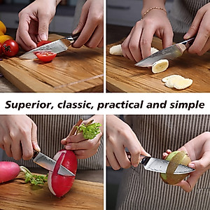 PAUDIN 3.5 Inch Paring Knife, Damascus Stainless Steel Blade Full Tang G10 Handle, Sharp VG10 Steel Fruit Knife and Vegetable Peeling Knife