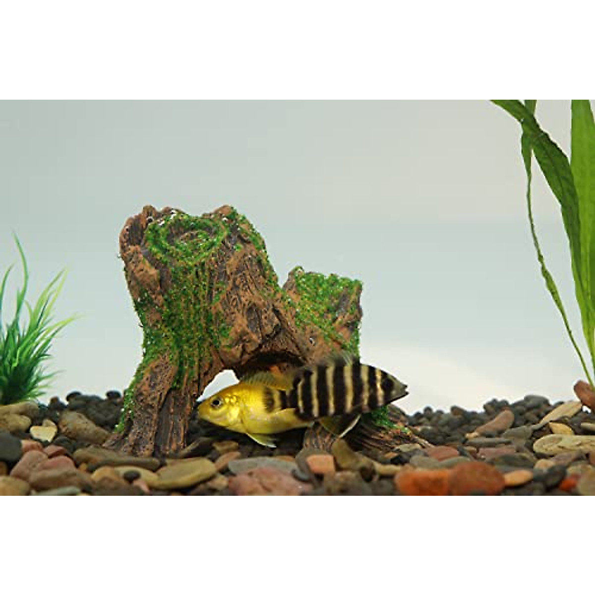 HRRIVE Aquarium Landscape Tree Stump Rock Hollow Cave Stone for Cichlid Betta Fish Tank Decoration