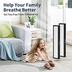 182550 Replacement Filter Compatible with Bionair BAP536UV-U Air Purifier and Holmes HAP537UV / 2141139 Air Purifier, 2 H13 True HEPA and 6 Carbon Pre-Filter