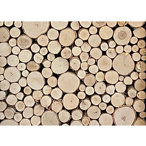 Wilson 7"-9" Decorative White Birch Fill-A-Space Logs, Natural Home Décor - 1.5"-4" Dia. (1 Sq. Ft)