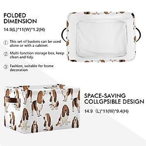 susiyo Large Foldable Storage Bin Basset Hound Dogs Fabric Closet Storage Baskets Collapsible Decorative Baskets Organizing Basket Bin for Shelves Closet Home Bedroom Living Room-1Pack