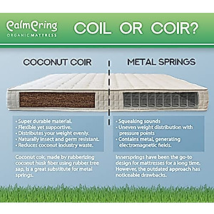 NATURAL LIFE PALMPRING Kochi Queen Mattress - Organic Latex Coconut Coir 6” Medium Firm 2 Layer Comfortable Sleep Bed Dust Free