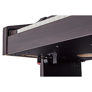 Roland RP-501R 88-key Supernatural Digital Piano with Bluetooth, Black (RP-501R-CBC)