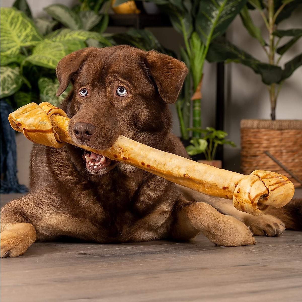 Pet Factory American Beefhide 21" Knotted Bone Dog Chew Treat - Chicken Flavor, 1 Count/1 Pack