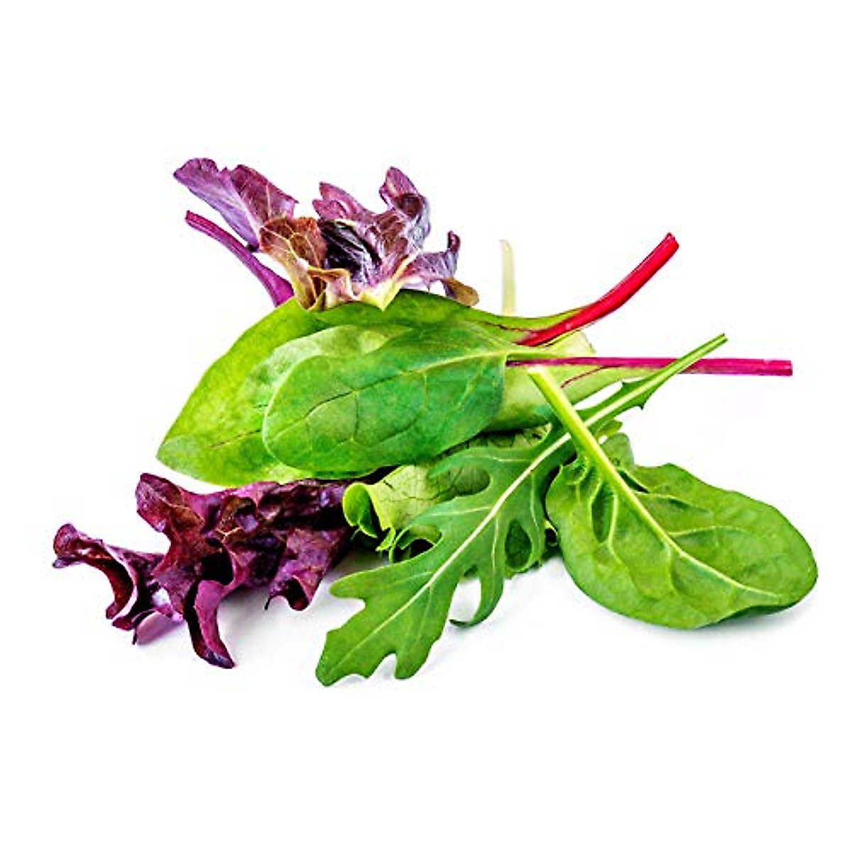 Lettuce Mix Seeds for Planting - Hydroponics - 500 Heirloom Seeds Variety Packet!