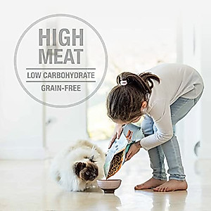 Feline Natural Grain-Free Freeze Dried Cat Food, Chicken & Lamb 11oz