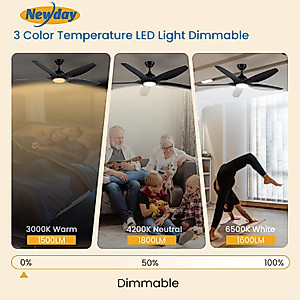 Newday 60 inch Black Ceiling Fan with Light Remote Control, Dimmable 3 CCT LED Ceiling Fans with Lights, 6 Speeds Reversible DC Motor Modern Ceiling Fan for Living Room Bedroom Indoor Outdoor