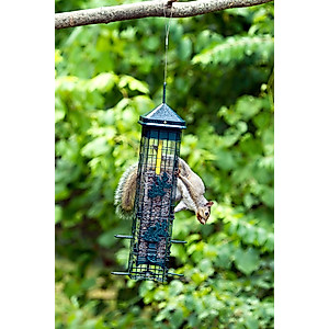 Squirrel Solution200 Squirrel-proof Bird Feeder w/6 Feeding Ports, 3.4-pound Seed Capacity, Free Seed Funnel