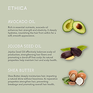 Ethica Beauty Professional Conditioner. Deep Conditioning, Volumizing, & Hydrating. Promotes Strong Healthy Hair, Scalp Health, and Hair Growth, 8.45 oz