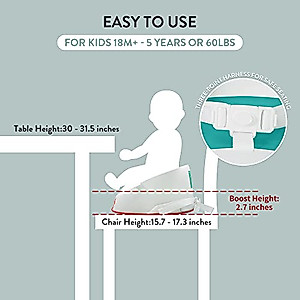 Prince Lionheart Squish Booster Seat, Gumball Green, 3-Point Harness and Dual-Strap System, Easy to Wipe Clean, and Lightweight Green