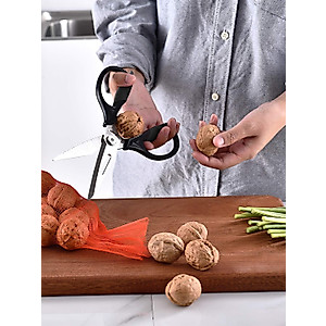 Kitchen Scissors - Come Apart Kitchen Shears for Cutting Chicken, Meat, Poultry, Seafood, Vegetable - Great Cooking Scissors Gadget