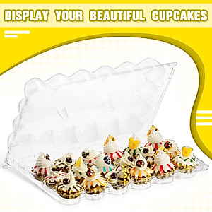 24 Pack Mini Cupcake Containers, 24 Count, Disposable Plastic Small Cupcake Boxes Bulk, High Dome Lid Cupcake Holder Cupcake Carriers for Transporting Small Cupcakes with Tall Icing