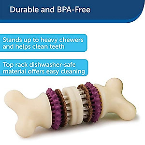 PetSafe Busy Buddy Bristle Bone - Treat-Holding Toy for Dogs - Treat Rings Included - Treats Thoroughly Mixed During Bake to Prevent Choking - Rigorously Tested Ingredients - Purple, Medium