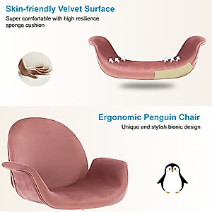 Office Chair Ergonomic Desk Chair - Velvet Vanity Fabric Home Office Chair Modern Adjustable Height Computer Chair with Pillow Swivel Executive Task Chair for Makeup and Living Room, Pink