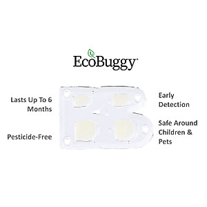 EcoBuggy Bed Bug Glue Trap, Glue Traps for Home & Travel Detect Bugs Before Infestation, Pack of 4