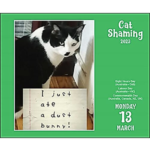 Cat Shaming 2023 Day-to-Day Calendar