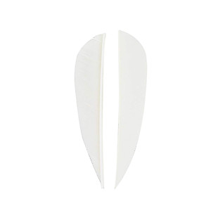 ZSHJGJR 3 Inch Turkey Feather Fletching Archery Arrows Natural Feather Parabolic Turkey Vanes Right Wing DIY Arrow for Hunting Shooting 50pcs (White)