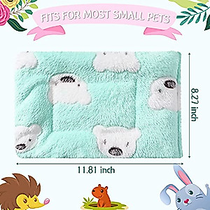 Jetec 2 Pieces Guinea Pig Bed Rabbit Bed Small Animal Hamster Warm Mats Winter Warm for Bunny Hamster Squirrel Hedgehog Chinchilla Small Animal Accessories(Green, Blue,Bear Pattern)