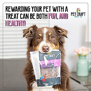 Pet Craft Supply Wild Caught Pure Dehydrated Pacific Salmon Blueberry Cranberry Superfood Healthy High in Antioxidants Vitamins Fish Oil for Small Medium Large Dog Puppy Training Treats