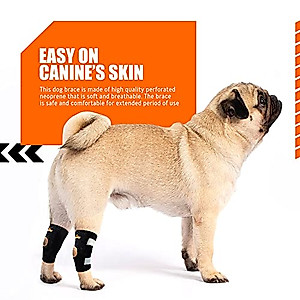 NeoAlly - 3-in-1 Short Rear Leg Hock Brace, Dog Leg Brace for Rear Leg with Rigid & Spring Inserts, Hock and Ankle Support, Dog Leg Sleeve with Reflective Straps, Small, 1 Pair