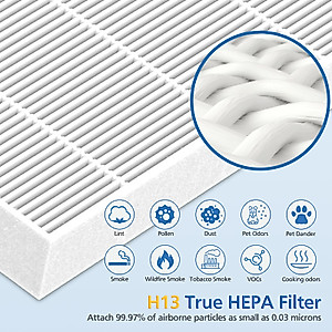 2 Pack D480 True HEPA Replacement Filter D4 Compatible with Winix D480, H13 Grade True HEPA Filter