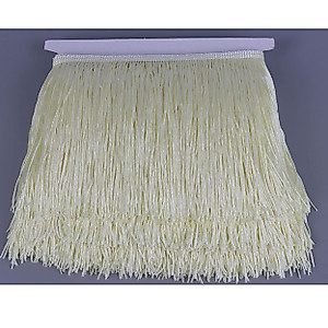 Heartwish268 Fringe Trim Lace Polyerter Fibre Tassel 6inch Wide 10 Yards Long for Clothes Accessories Latin Wedding Dress DIY Lamp Shade Decoration Off-White Cream White