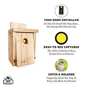 Sparrow Birdhouse Trap 1.5" Bird Hole w/Trap Door | Highly Effective & Easy to Use | Catch and Release Problem Sparrows Small Woodpeckers Wrens & Small Little Annoying Grey Brown Birds Species