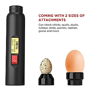 HBlife Bright Cool LED Light Egg Candler Tester for Watching Eggs Development, with 2 Soft Rubber Attachments for Eggs, Powered by Power Cord Only