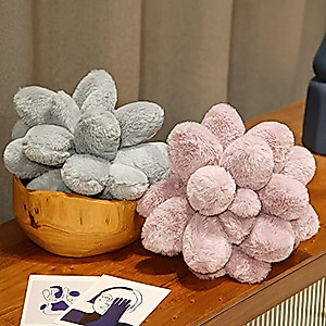 WANYIN 3D Succulent Pillow-9.8 Inches Cute Stuffed Plant Plush Pillows,Soft Succulents Cactus Pillow Novelty Plush Cushion for Garden Bedroom Home Decor