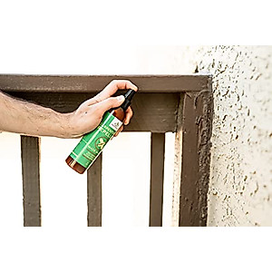 Donaldson Farms Carpenter Bee Repellent Spray, 8oz, All Natural Wood Bee Repellent Spray, Carpenter Bee Control Spray for Outdoor Wood & Furniture, Citrus Oil Spray for Carpenter Bees