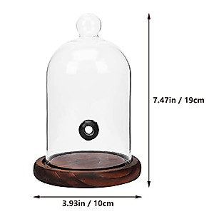 YARDWE Smoking Cloche Dome with Wooden Base Glass Cocktail Infuser Lid Elegant Dessert Stand Cake Display Stand Food Cover 19x10cm