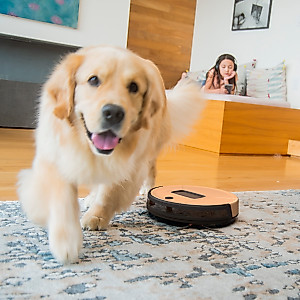 bObsweep PetHair Vision Robot Vacuum Cleaner