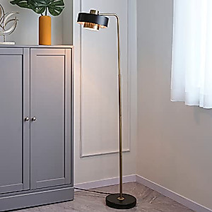 Globe Electric 67491 Felipe Floor Lamps, Antique Brass, Black Accent