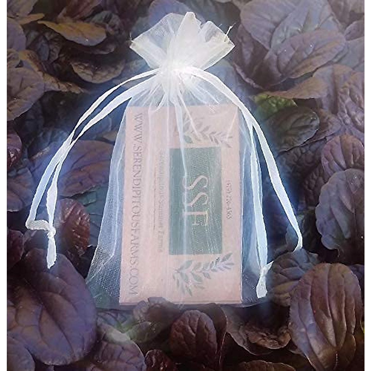 Serendipitous Summer Farms Happy Hens- All Purpose First Aid Poultry Balm. 100% Natural and Organic Comfrey Salve. for Pecking Wounds/Sores