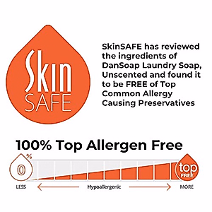 DanSoap Powdered Laundry Soap | Natural, Plastic Free | Unscented (70 Washes)