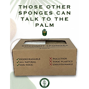 Natural Sponges - 6 Pack of EcoFriendly Biodegradable Coconut Sponges - Multipurpose Kitchen Sponges - by American Kitchen Company ™