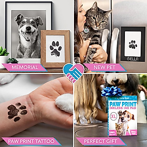 Luna Bean 4-Pack Baby Footprint Kit - Babys First Christmas - Ink Pad for Baby Hand and Footprints - Non-Toxic Baby Keepsake - Dog Paw Print Kit (13pcs), Stocking Stuffers