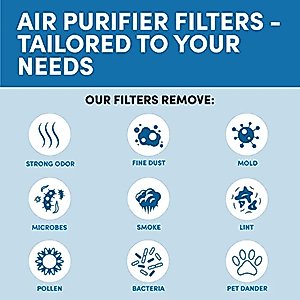 VEVA Air Purifier Filter Replacement - 6 Pack of HEPA Air Filters w/ 8 Precut Activated Carbon Pre-Filters, Compatible with Honeywell HPA300 Purifiers & Filter R, HEPA Filter and Pre filters