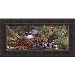 Morning Stillness by Jerry Gadamus 14x28 Nesting Loons Wildlife Framed Art Print Wall Décor Picture Signed and Numbered Limited Edition